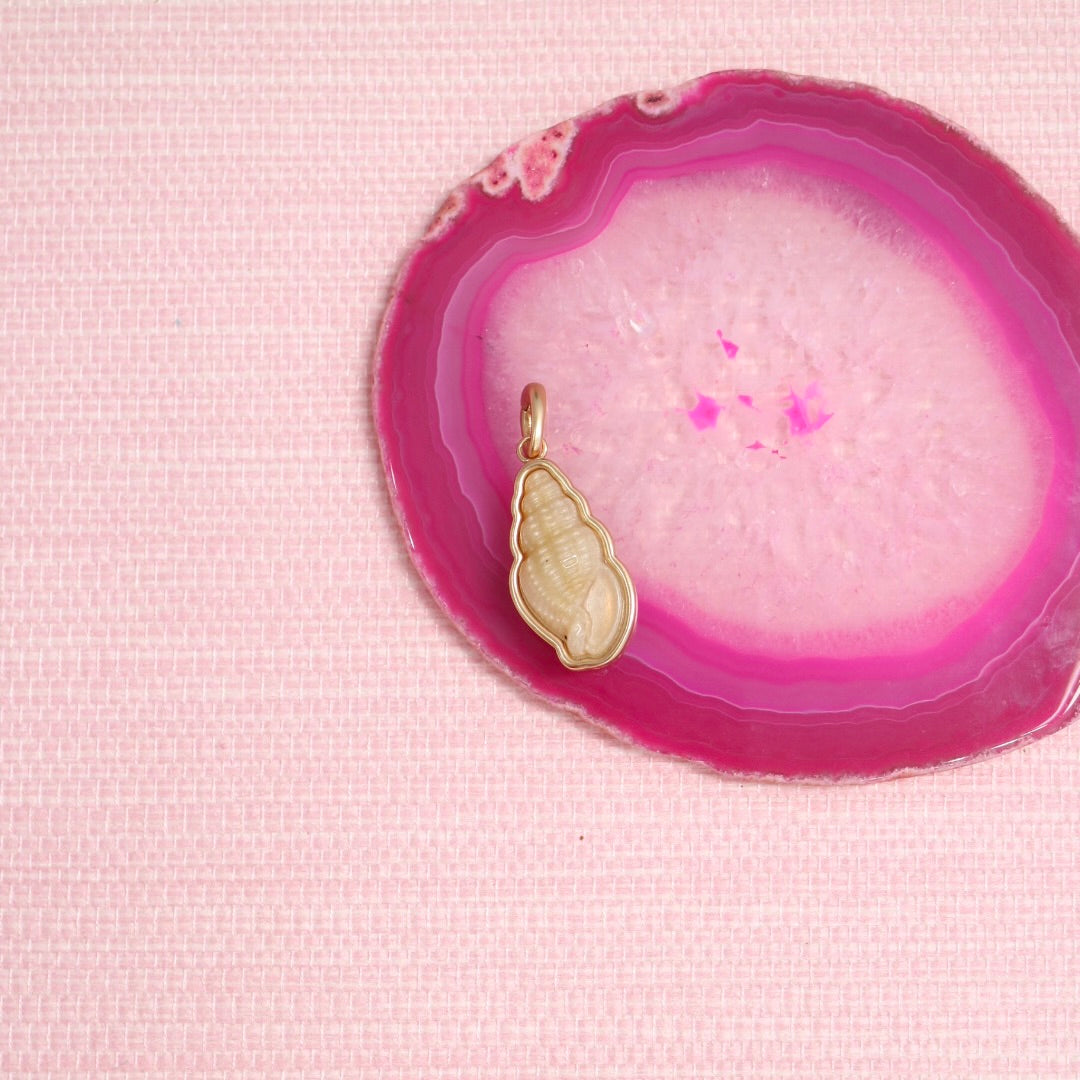 Conch Shell Charm – Gresham